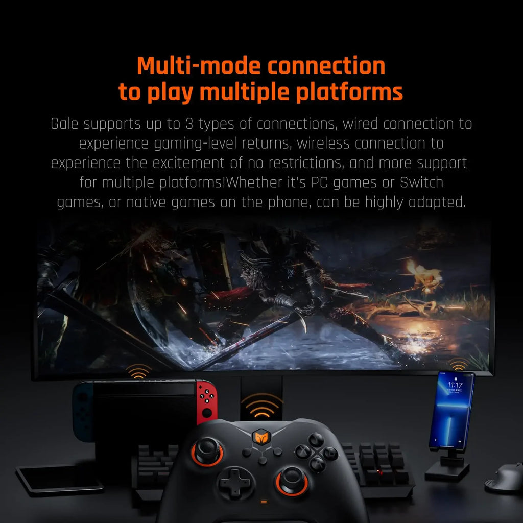 BIGBIGWON GALE HALL GAMPADS New Wireless Gaming Controller for Switch ...